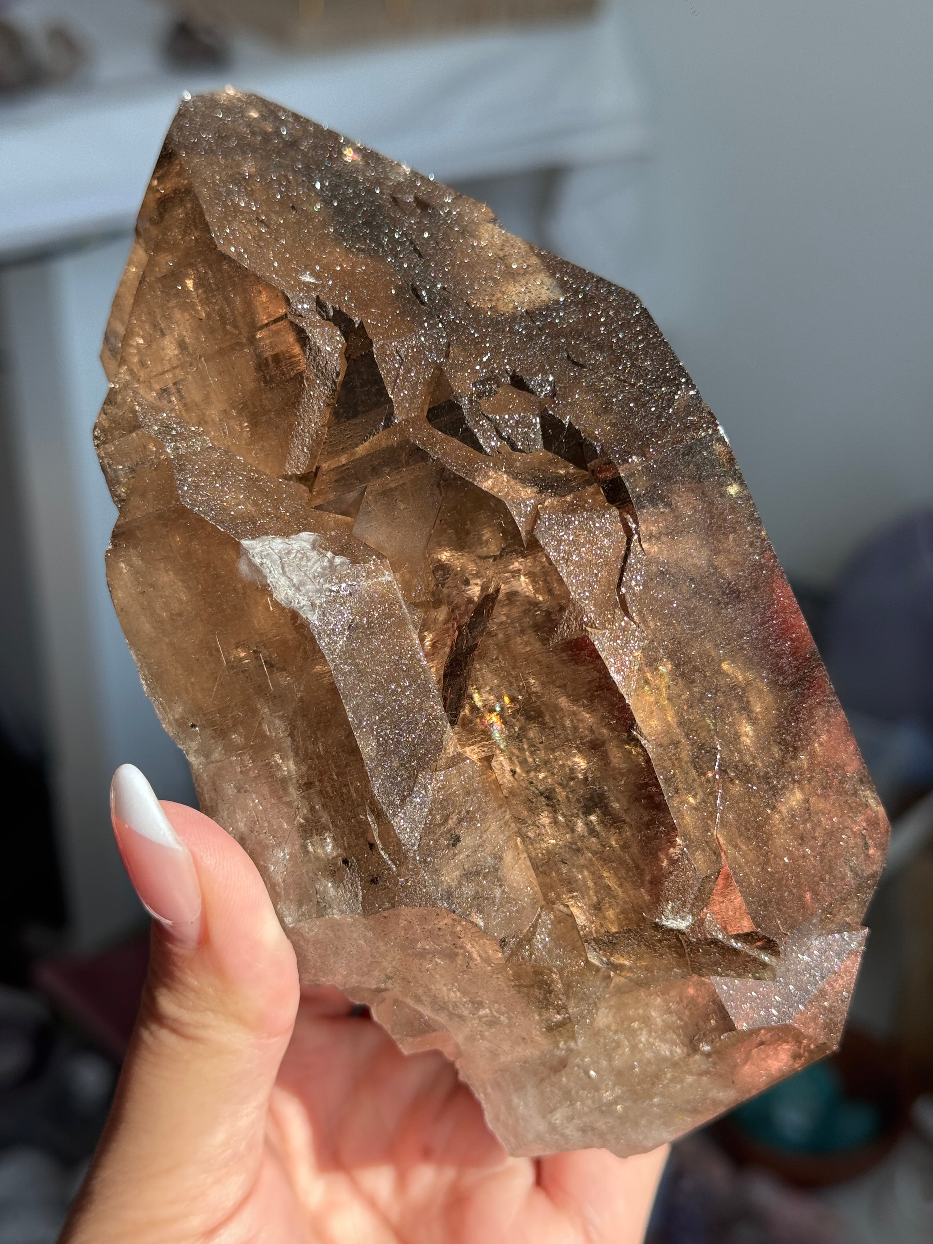 XL Statement Gwindel Quartz Specimen [Talefre Glacier, Chamonix, Frenc ...