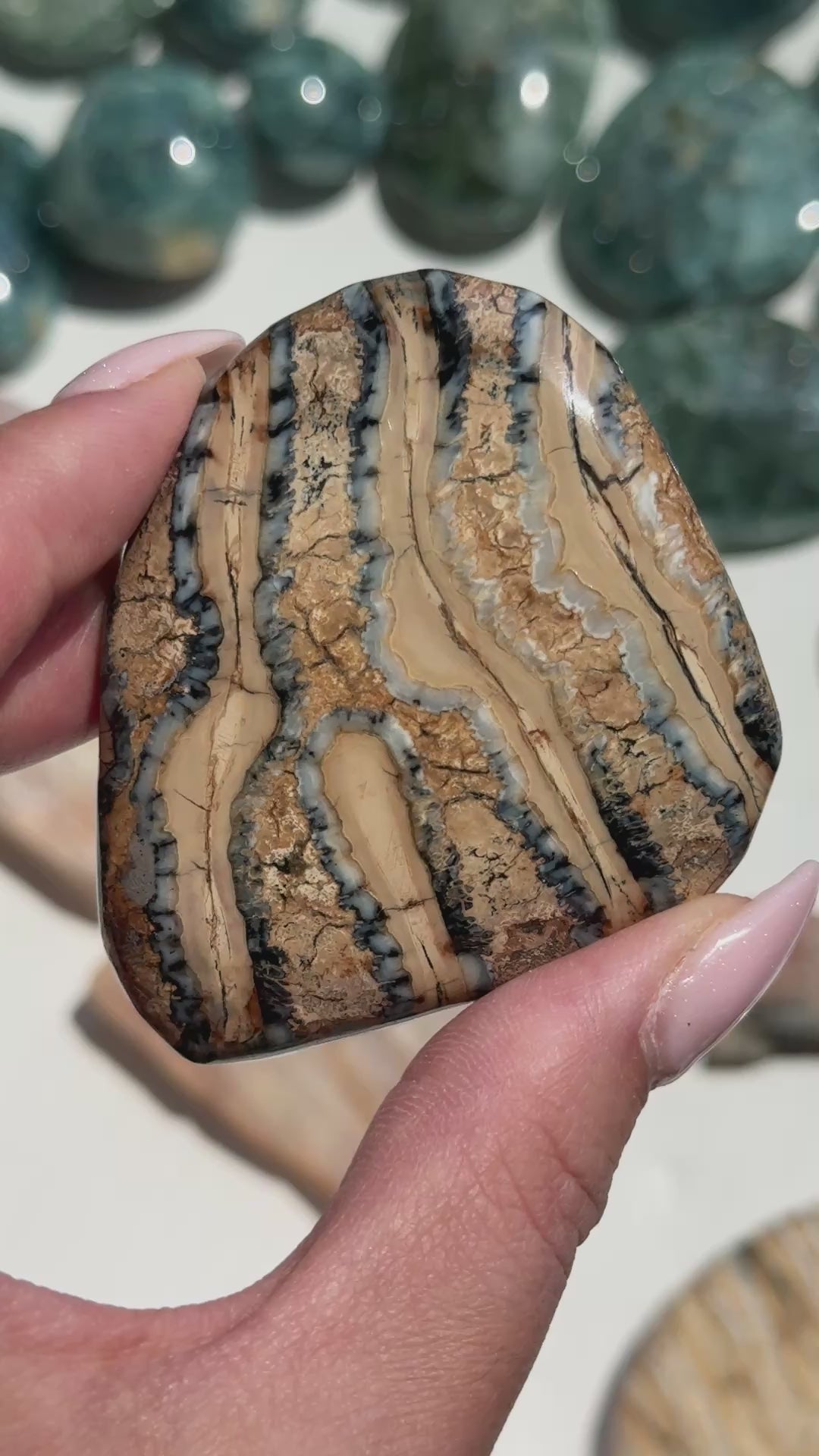 Polished Mammoth Tooth Freeform #1 – The Stone Queen Co